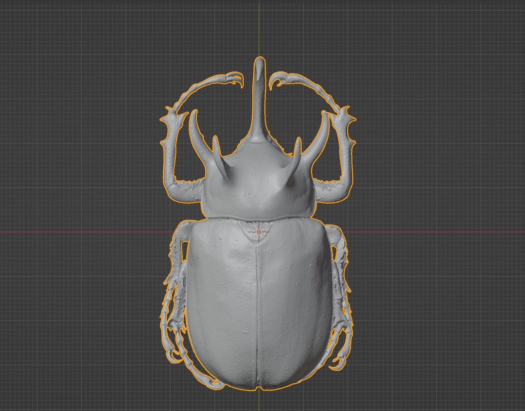 5 Horned Beetle STL 3D Printable - Etsy