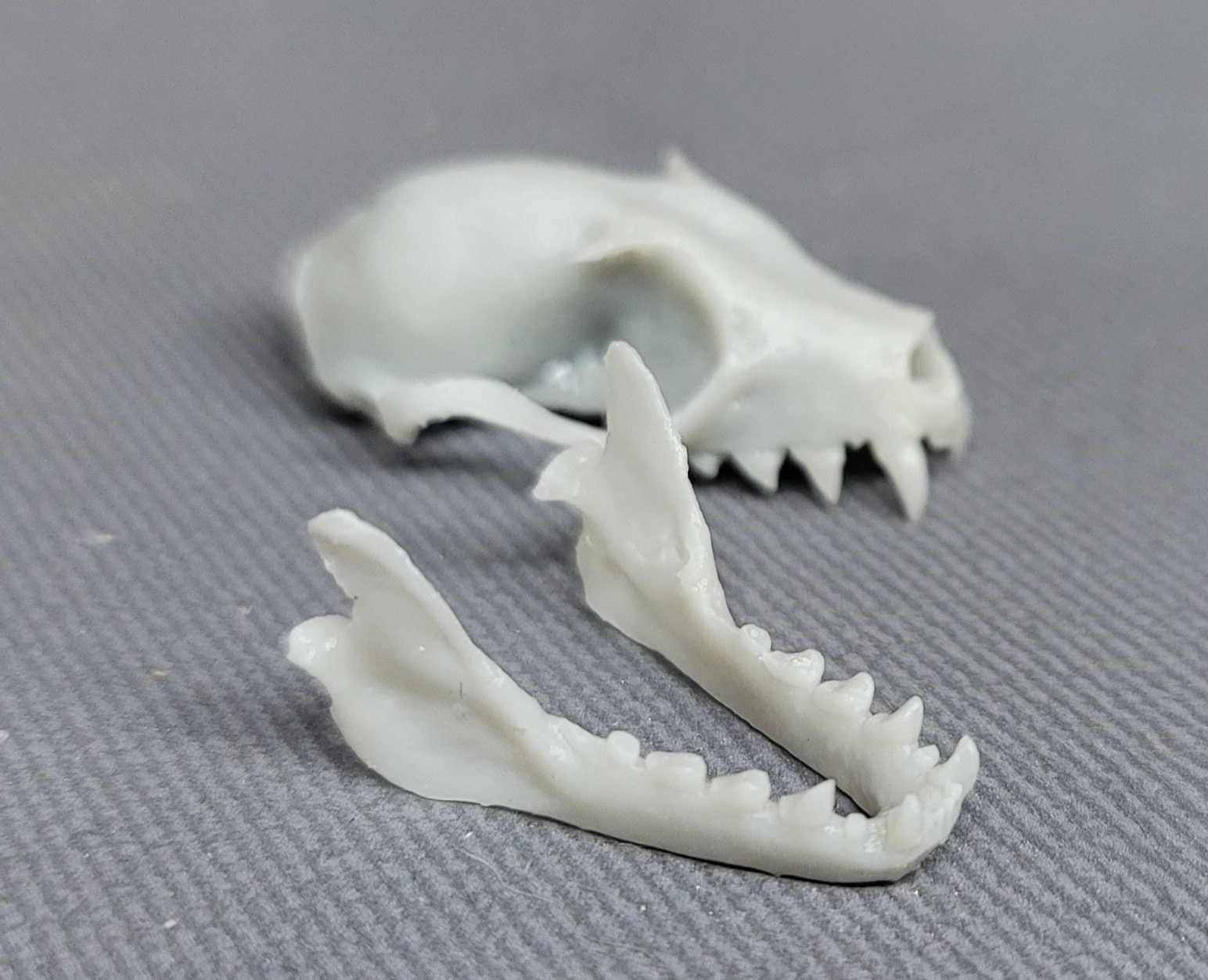 Bat Skull Commercial Printable STL File 3D Printable - Etsy