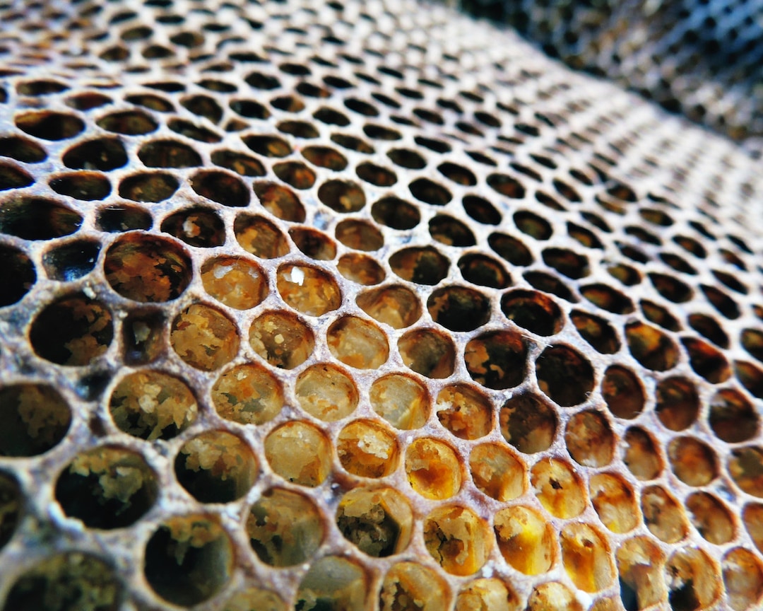 Honey Comb Photograph - Bee Hive Photo - Rustic Art - Wall Decor ...