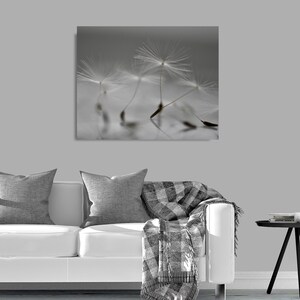 Dandelion Photograph - Dandelion Seed - Dancing Dandelion Seeds ...