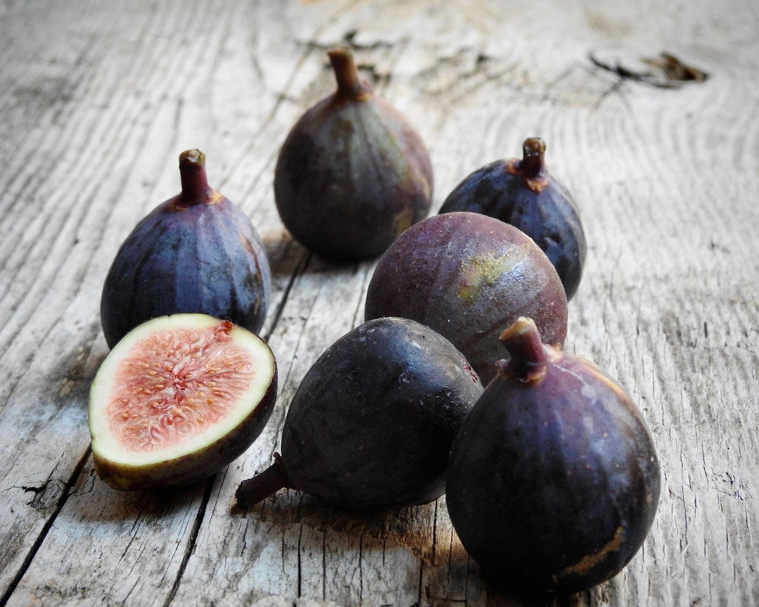 Obst Fotografie Feige Frische Feigen Lila Obst Küchenwandkunst ...