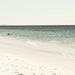 Set of 3 Beach Photographs Neutral Beach Beach Gallery Ocean Art ...