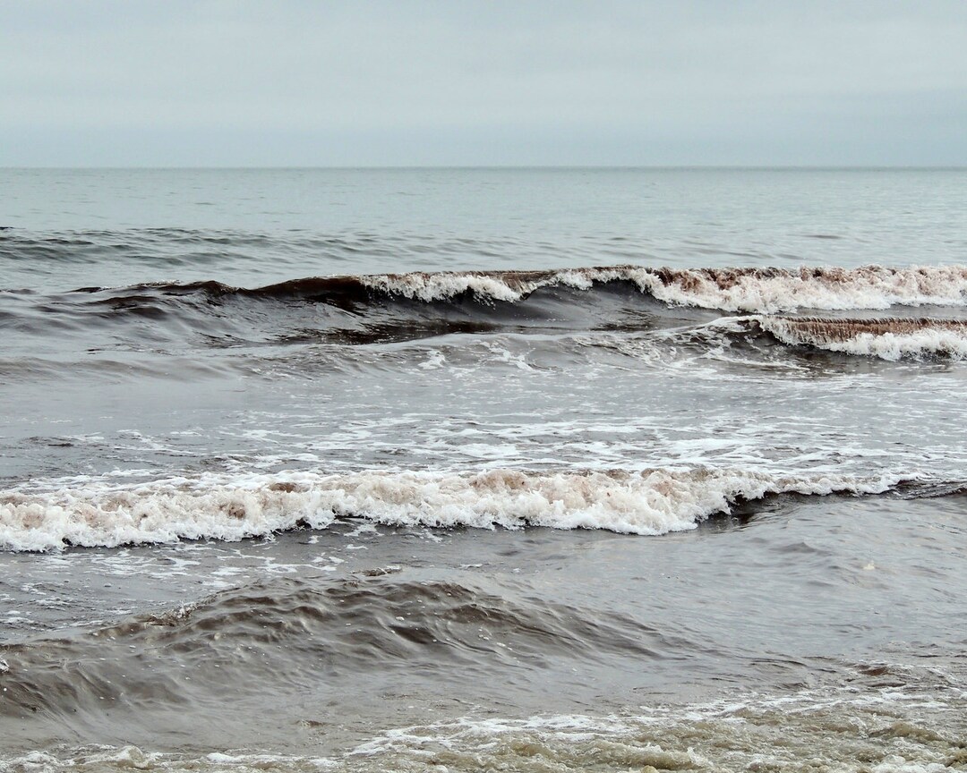 Beach Photograph - Red Seaweed Waves - Neutral Toned - Foggy Beach ...