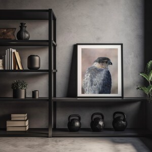 Cooper's Hawk Photograph - Hawk - Wildlife - Bird - Wall Decor - Bird ...