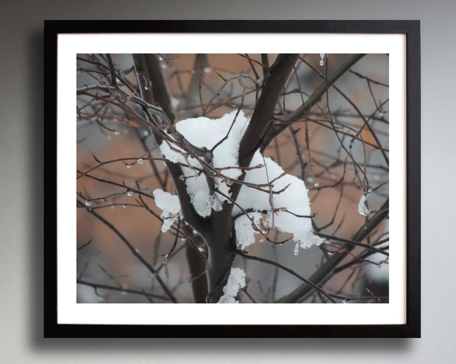 Ice Ghost Nature Art Snow Rain Ice Winter Tree Art | Etsy