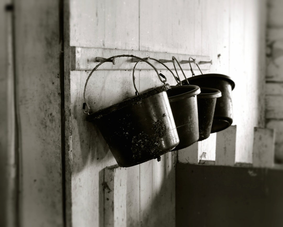 Farm's Bucket - Cow Farm - Farmer's Bucket - Bucket Art - Bucket and ...