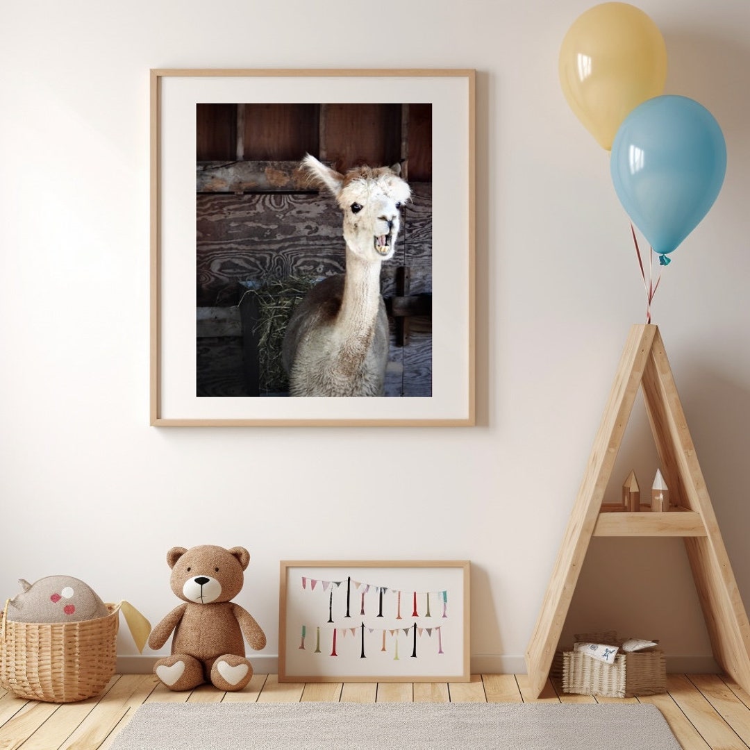 Alpaca Photography - Animal Fine Art - Nursery Wall Decor - Cute Animal ...