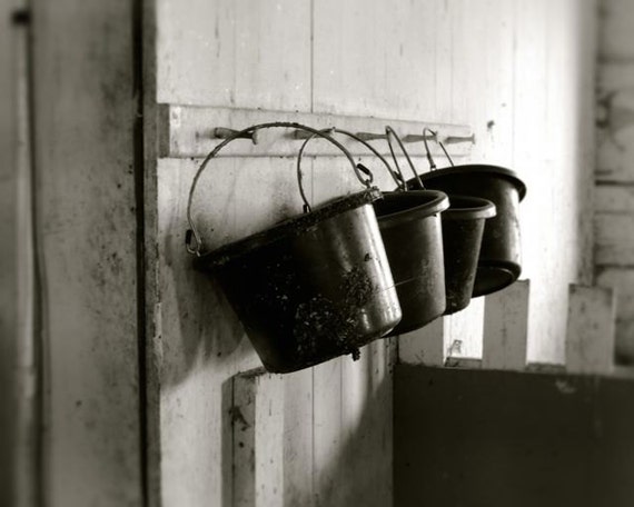 Farm's Bucket Cow Farm Farmer's Bucket Bucket - Etsy