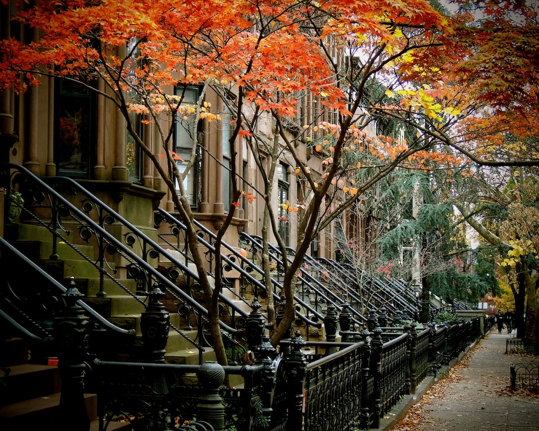 Autumn in Brownstone Brooklyn New York - New York Architecture - Autumn ...