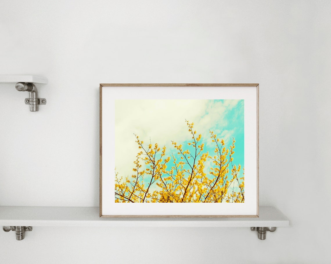 Yellow Spring Tree Flowers Photograph Spring Tree Spring - Etsy