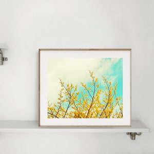 Yellow Spring - Tree Flowers Photograph - Spring Tree - Spring Blossoms ...
