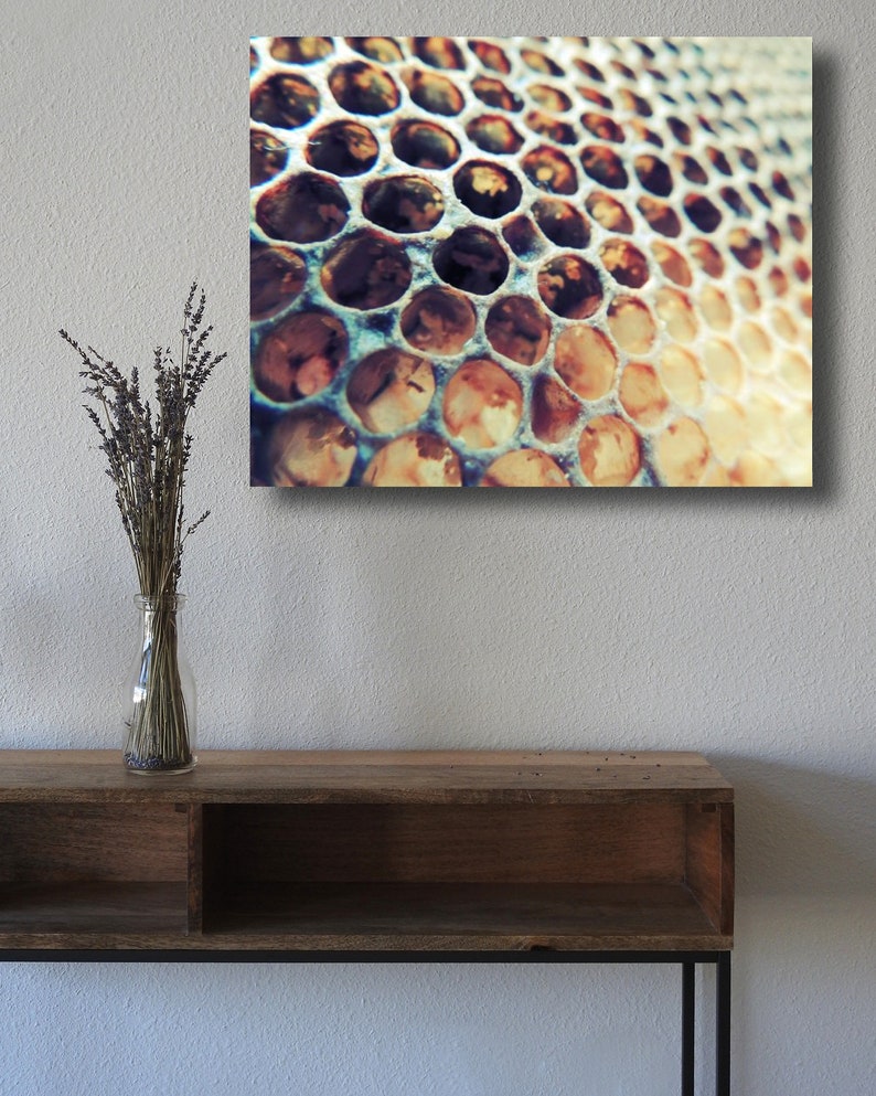 Honeycomb Photography Bee Honey Comb Structure Honeycomb - Etsy