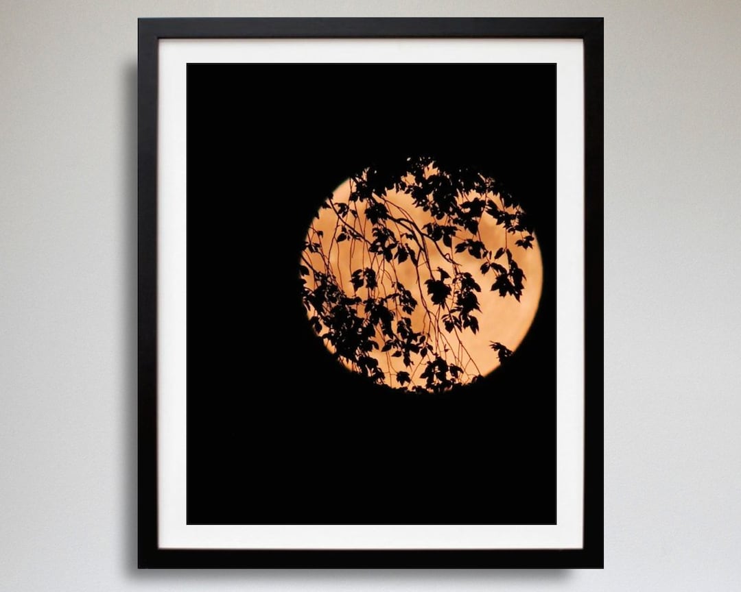 Moon Photography - Lunar August's Harvest Moon - Tree Silhouette - Full ...