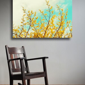 Yellow Spring - Tree Flowers Photograph - Spring Tree - Spring Blossoms ...