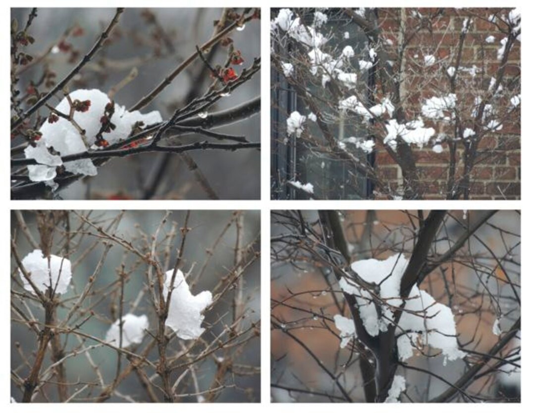 Ice Ghost Photographs Set Winter Nature Art New York Winter Snow Ice ...