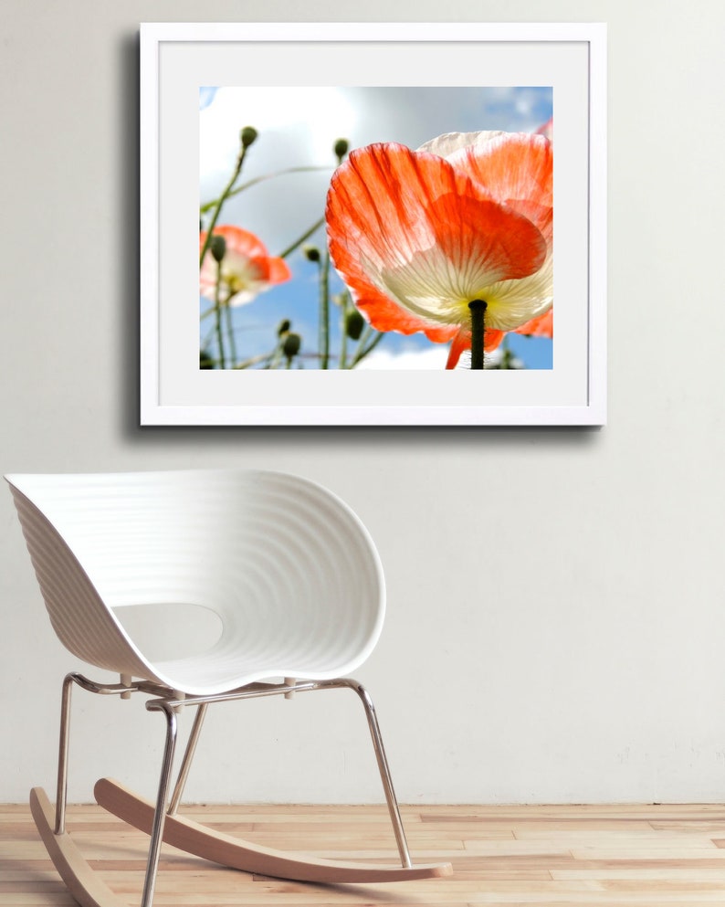 Poppy Photograph Nature Flower Wall Decor Flower and Sky | Etsy