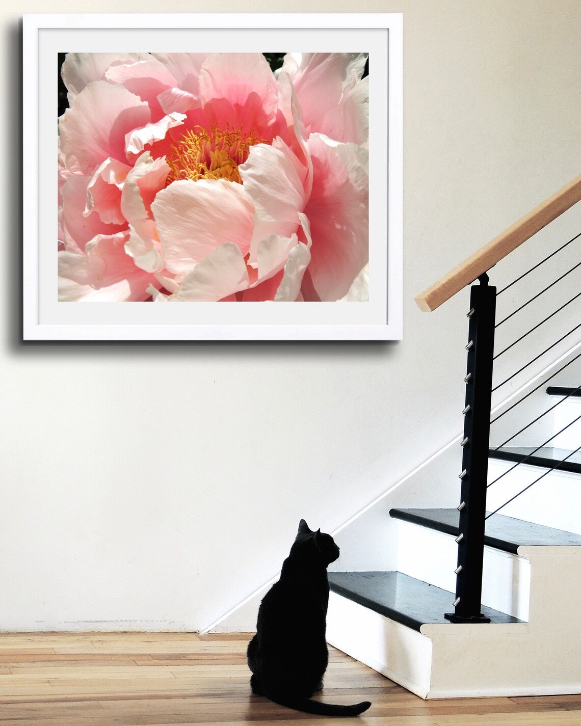 Sweet Peony Nature Flower Photograph Nature Art Pink | Etsy