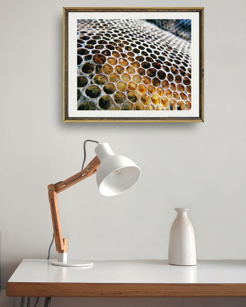Honey Comb Photograph Bee Hive Photo Rustic Art Wall | Etsy