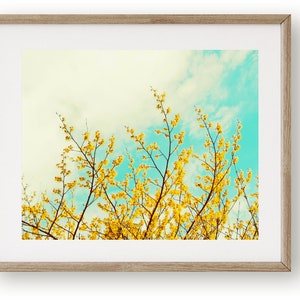 Yellow Spring - Tree Flowers Photograph - Spring Tree - Spring Blossoms ...