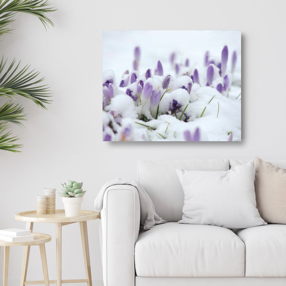 Crocus in Snow Photograph: Purple Flower Wall Decor - Etsy