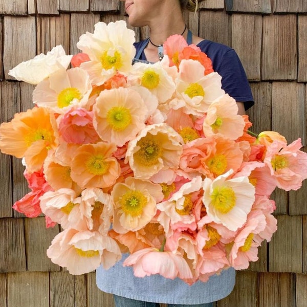 Hand Turned Scottish Spurtles - Etsy Canada