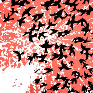 Murmuration Artwork, Original, Limited Edition Screen Print, Hand ...