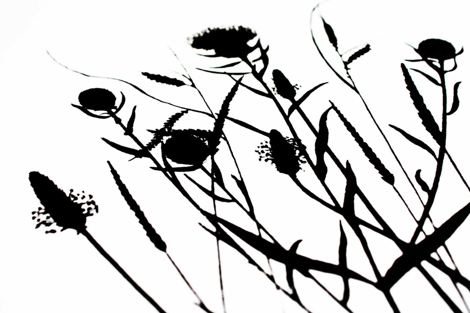 Floral Print Limited Edition Screen Print Hand Printed Art - Etsy