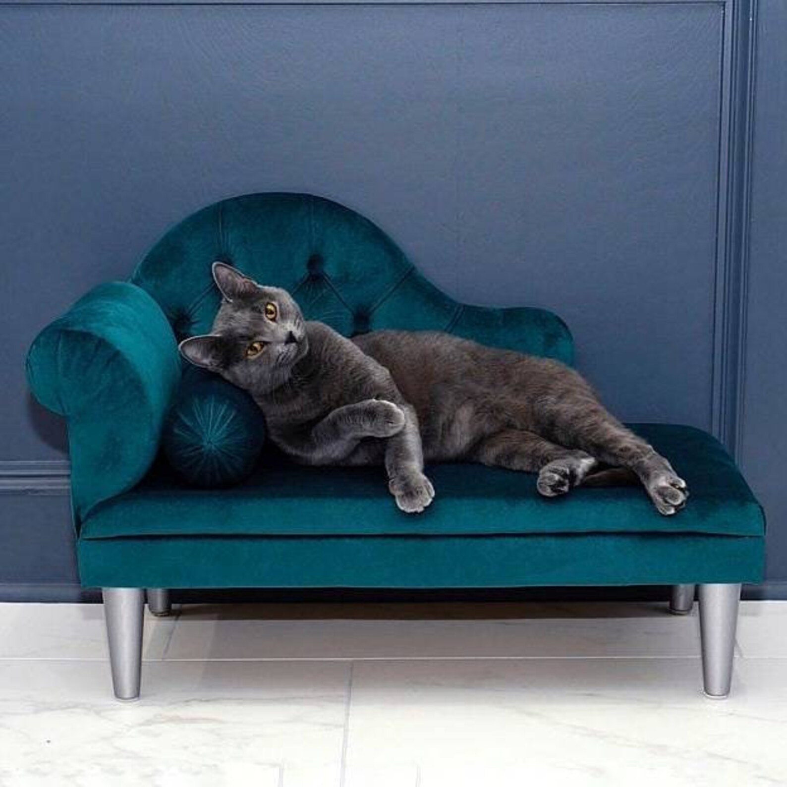 Fancy Cat Beds Dog Chaise Dog Sofa Cat Bed Cat Sofa - Etsy