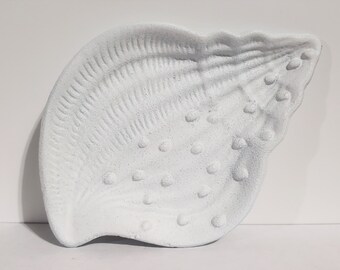 Shell Soap Dish - Etsy