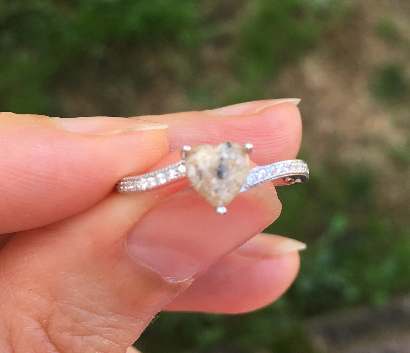 Cremation Ring Pet Ash Ring Sterling Crystal Ring Pet Ashes - Etsy