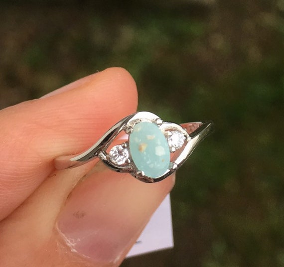 Cremation Ring Pet Ash Ring Sterling Pet Ashes Mimimalist | Etsy