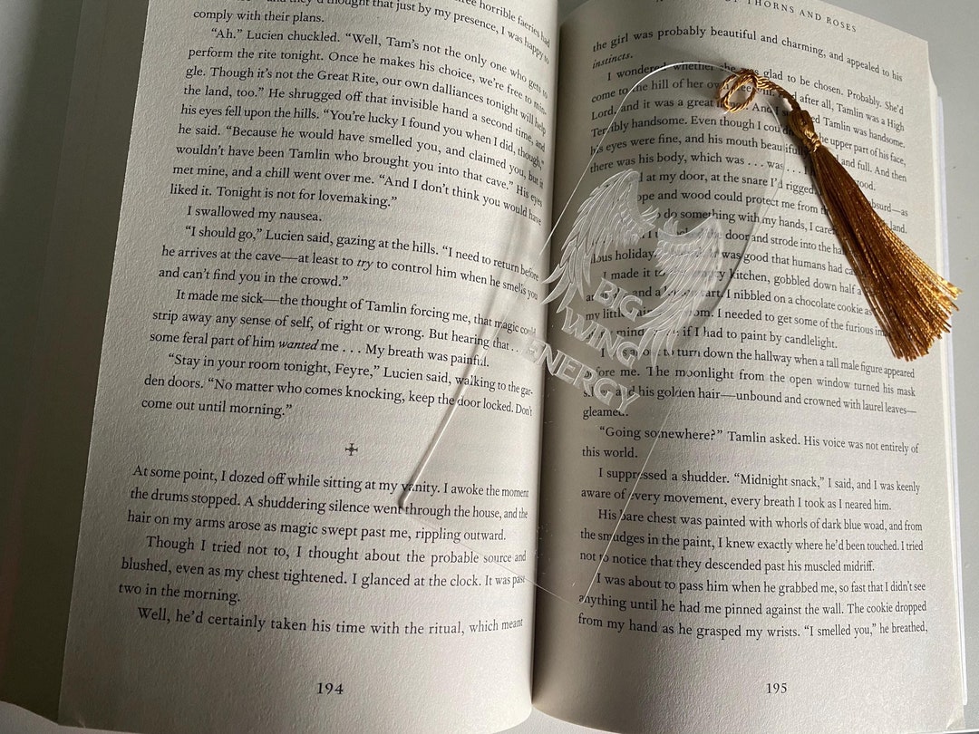 Big Wing Energy Bookmark, Fantasy Reader Bookmark, Acrylic Bookmark ...