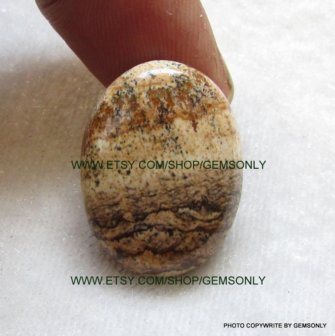 1pc NATURAL PICTURE JASPER 21.60cts Photo Jasper Natural Carven on ...