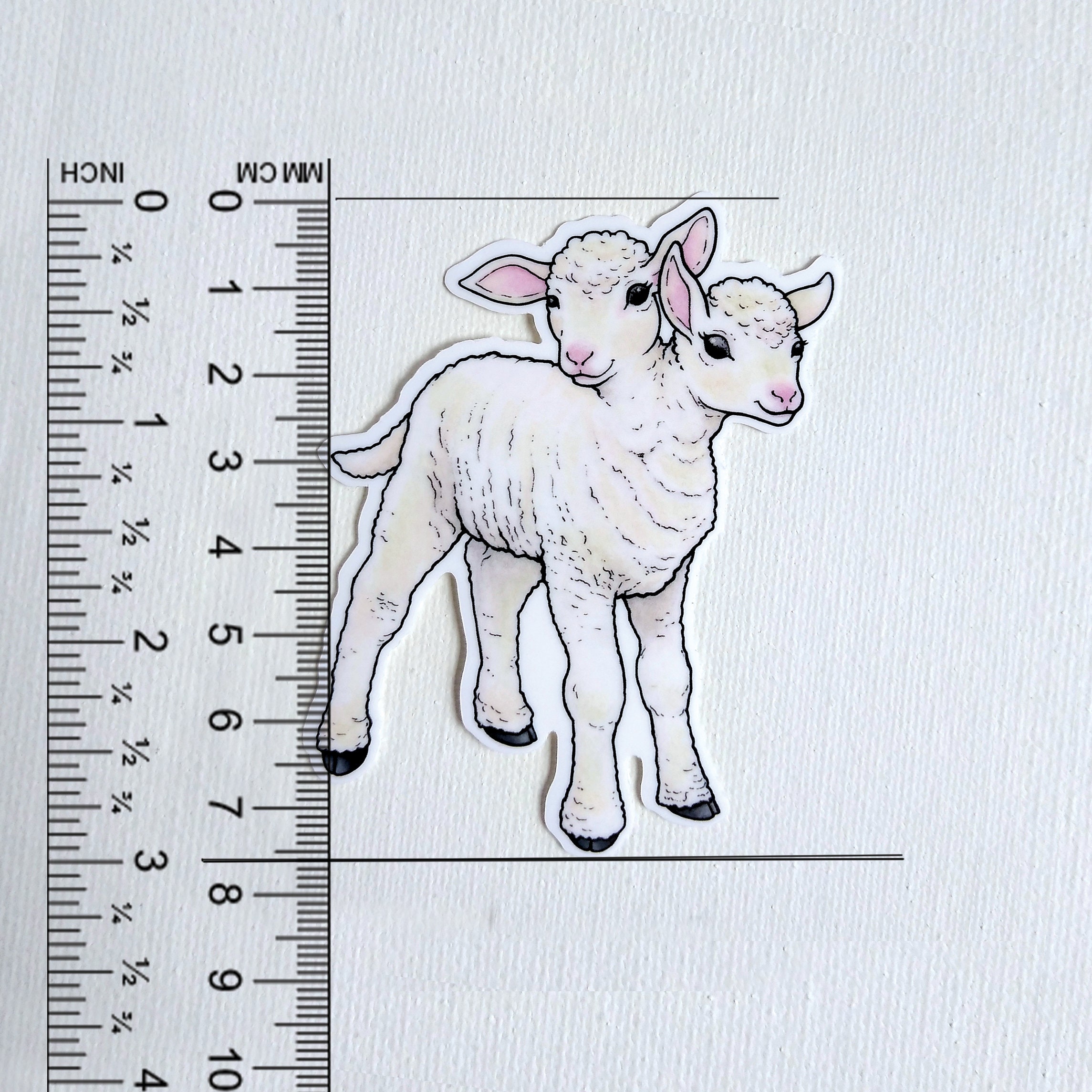 Two Headed Lamb Sticker Farmyard Oddities Conjoined Twins - Etsy