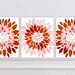 Rust Rose Pink Flowers Set of 3 Canvas or Prints Bathroom - Etsy