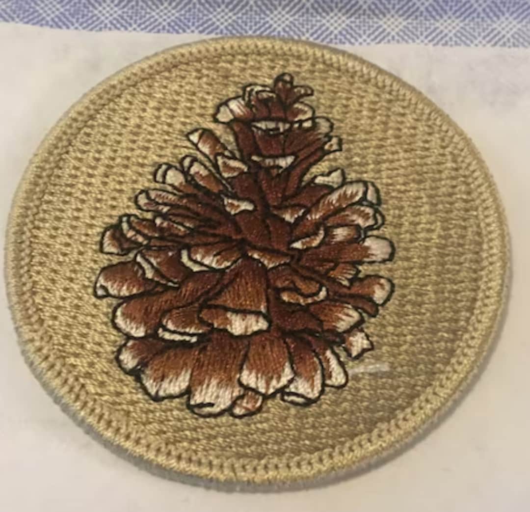 Pine Cone Nature Patch - Made in the USA Nature Lovers Earth Day Patch ...