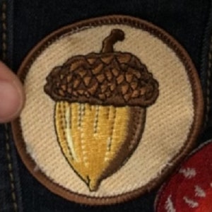 Acorn Nature Embroidered Patch - Etsy