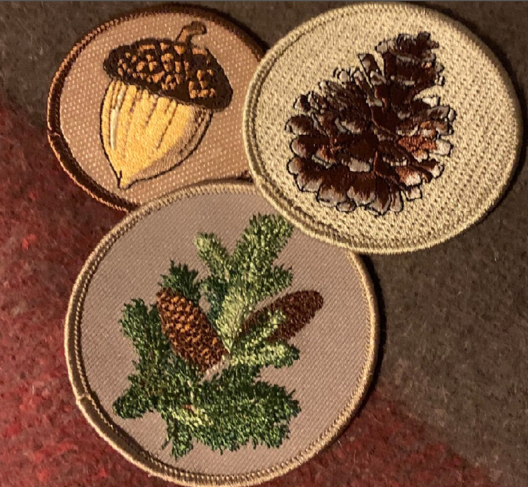 Pine Tree and Cone Patch Embroidered Nature Patch - Etsy