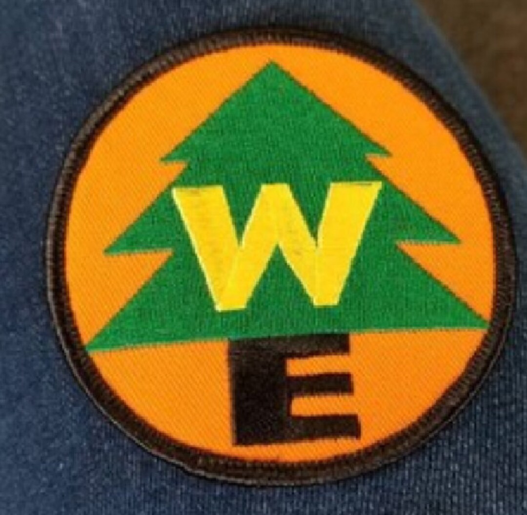 Wilderness Explorer Embroidered Patch, New Embroidered WE - Etsy