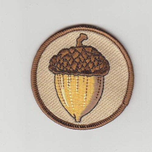 Ranger Rick's Nature Club Embroidered Patch - Etsy