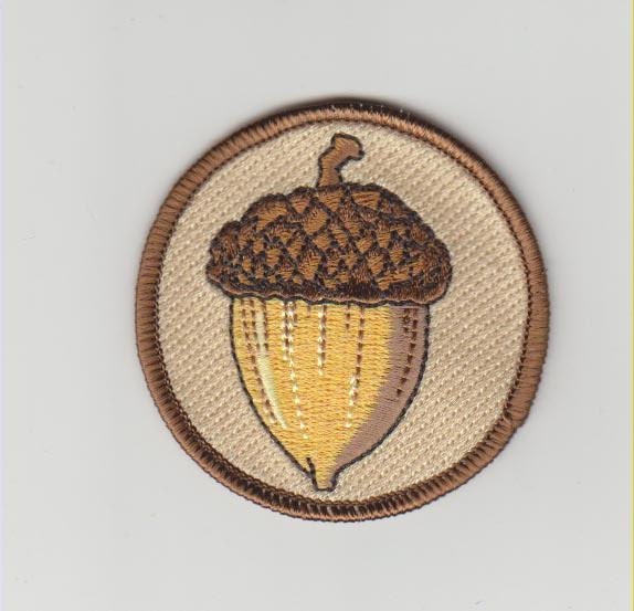 Acorn nature embroidered patch | Etsy