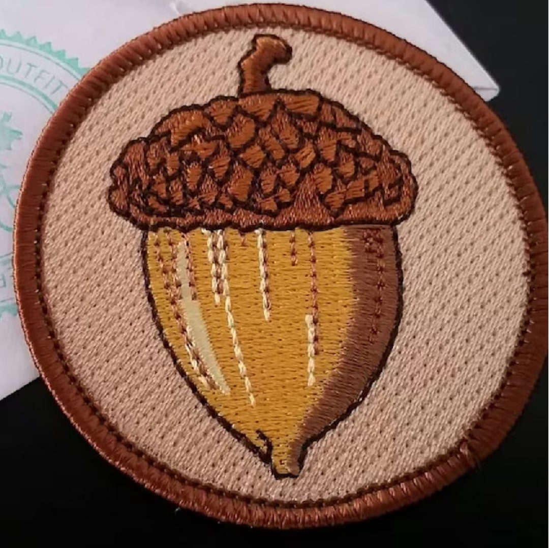 Acorn Nature Embroidered Patch - Etsy