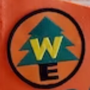 Wilderness Explorer Embroidered Patch, New Embroidered WE - Etsy
