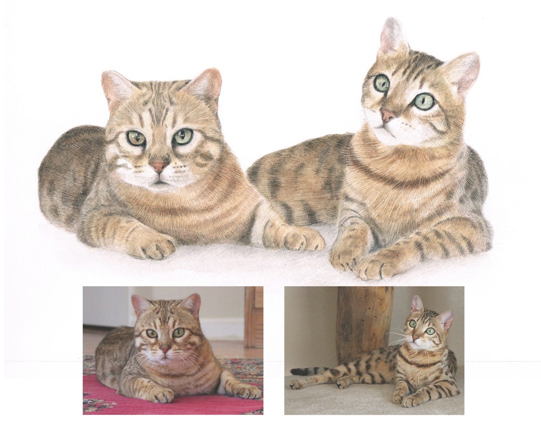 Custom Two Pet Portrait Custom Cat Portrait Custom Multiple Pet ...