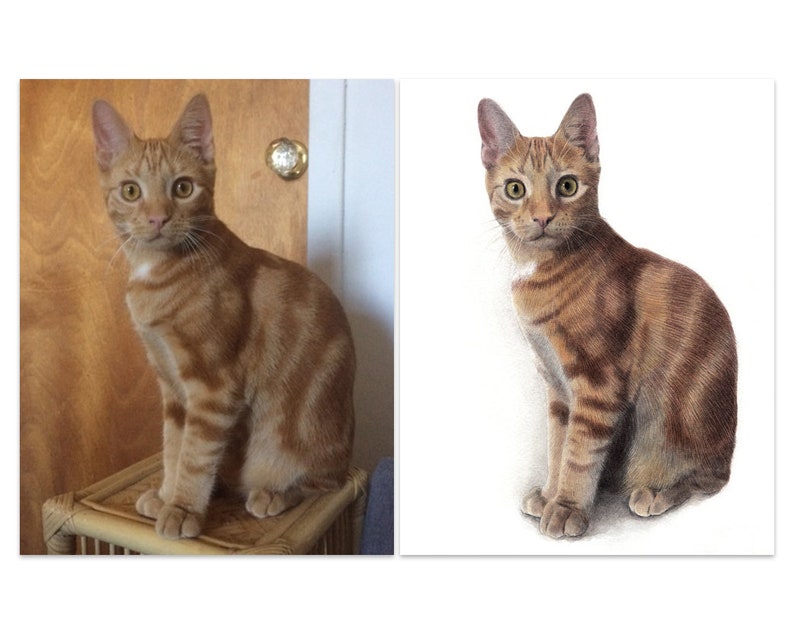 Custom Two Pet Portrait Custom Cat Portrait Custom Multiple - Etsy