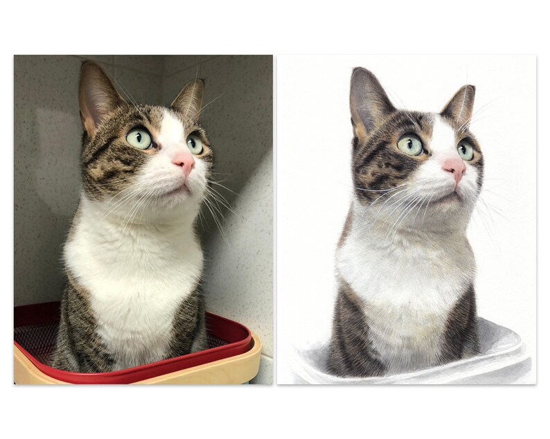 Custom Two Pet Portrait Custom Cat Portrait Custom Multiple - Etsy