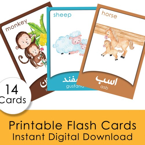 Farsi Flash Cards Printable Persian Names for Fruits and | Etsy