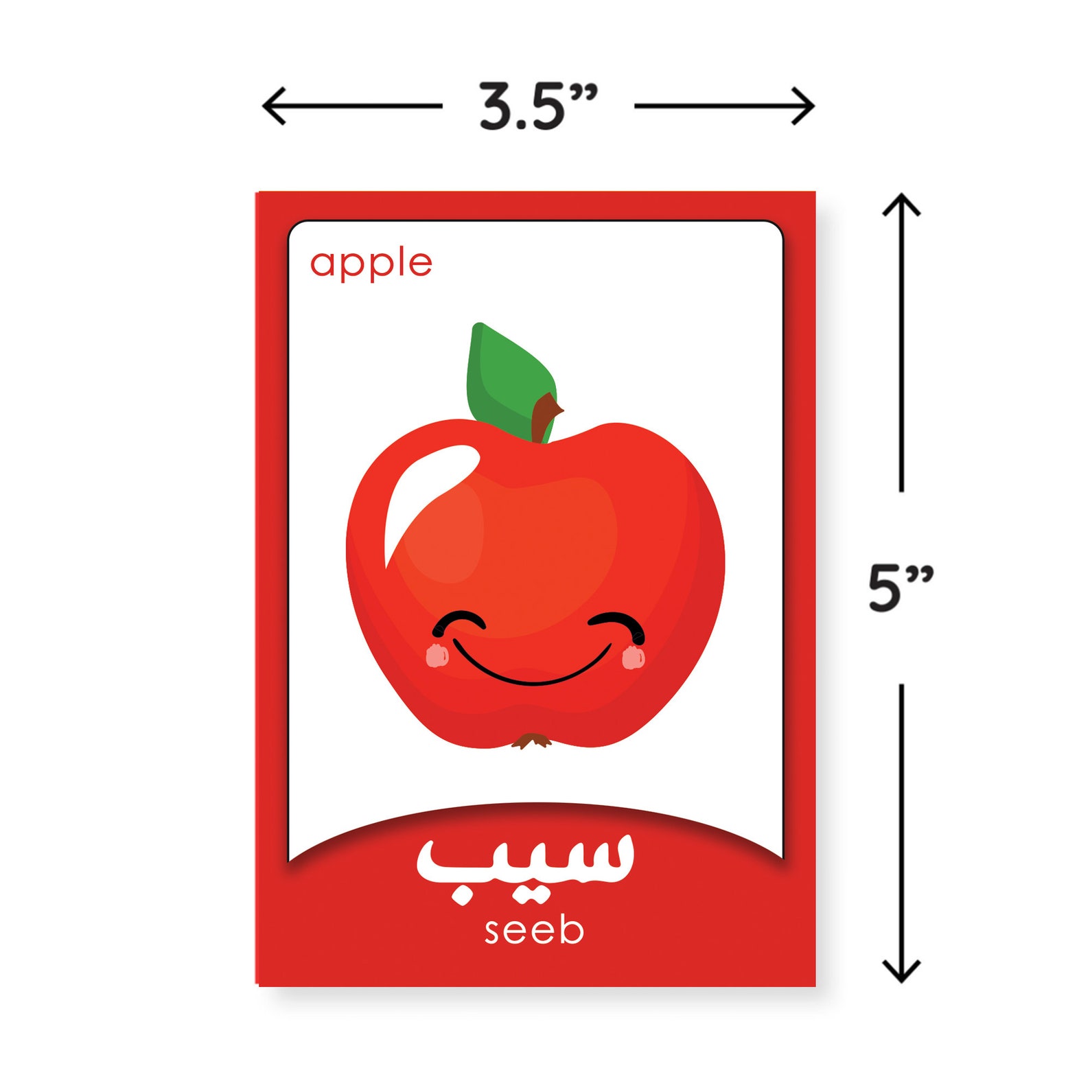 Farsi Flash Cards Printable Persian Names for Fruits and - Etsy