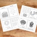 Nowruz Fun: Coloring and Activity Pages for Children - Persian New Year ...
