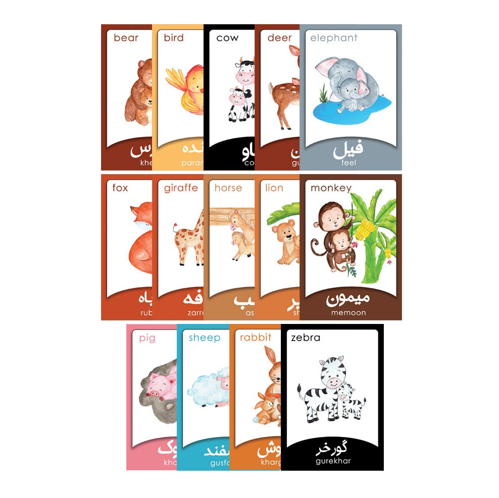 Farsi Flash Cards Printable Persian Names for Animals - Etsy Canada